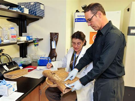 In Pictures CSI With DNA AMNH