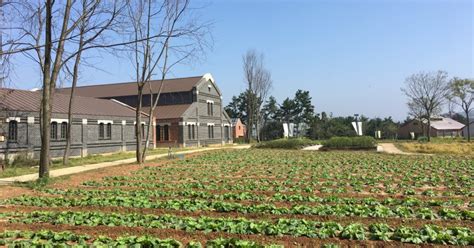 ‘호캉스 말고 ‘촌캉스 어때 ‘치유 앞세운 고창 [김지나의 문화로 도시읽기]