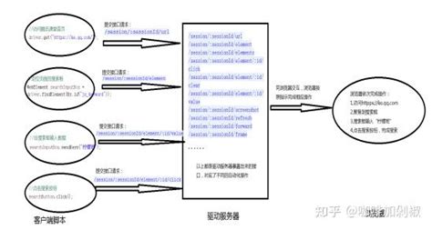 全网最全的Web自动化测试教程 知乎