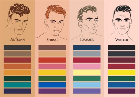 Seasonal Color Analysis Palettes For All Types Royalty Free Vector