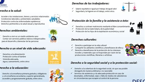 Ejemplos De Trabajo Relación De Dependencia En Diferentes Sectores