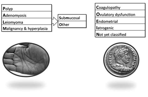 Ge Voluson™ Club Ultrasound Practice Guidelines