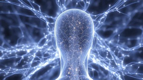 Deep Neural Networks For Auditory Tasks Hearingtracker Posted On The