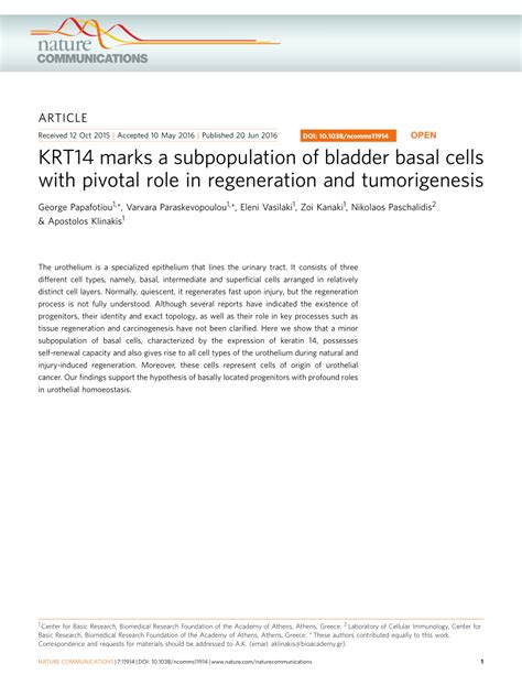 Pdf Krt14 Marks A Subpopulation Of Bladder Basal Cells With Pivotal