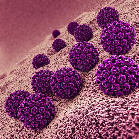 Human Papillomavirus Infection Virus Stock Illustration Illustration