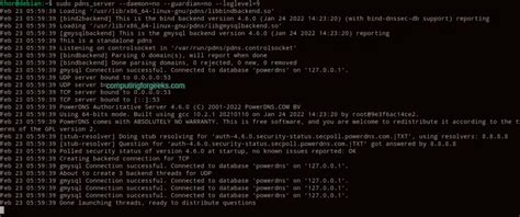 Install Powerdns And Powerdns Admin On Debian 12 11 10 Computingforgeeks