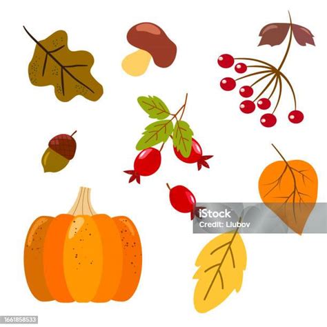 가을 세트 오크 잎 도토리 Viburnum 열매 빨간 장미 엉덩이 노란 잎 오렌지 호박 버섯 플랫 심플 스타일의 그림 흰색 배경에 벡터 디자인 요소 로즈힙에 대한 스톡 벡터