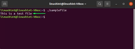 How To Install The C Compiler On Ubuntu Naukri Code