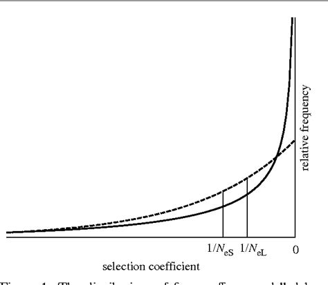Figure 1 From Piece Effective Population Size And The Rate And Pattern Of Nucleotide