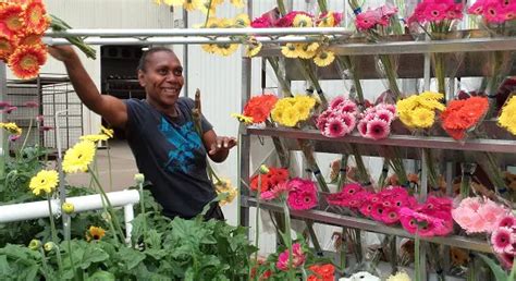 Client Needs Analysis The Connect Group