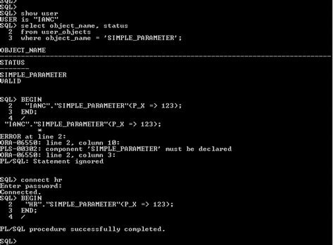 Oracle Database Including The Schema Name When Calling A Pl Sql Procedure Doesn T Work In One