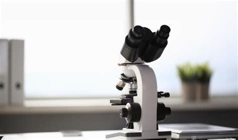 Premium Photo The Head Microscope On The Background Laboratory