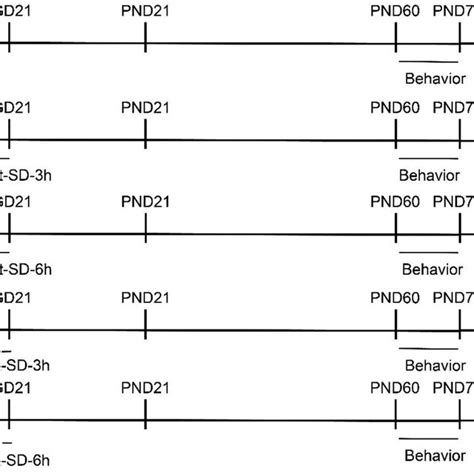 Timeline Of The Experiment Refer To Experimental Protocols For Details