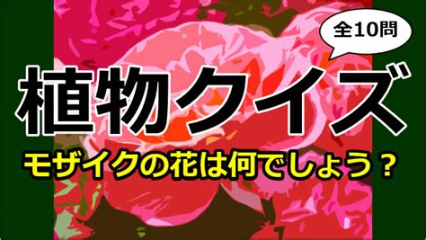 植物クイズ～モザイク（パワーポイント番組コンテンツ） フリー素材、無料素材のdigipot