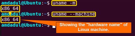 The “uname” Command In Linux 11 Practical Examples