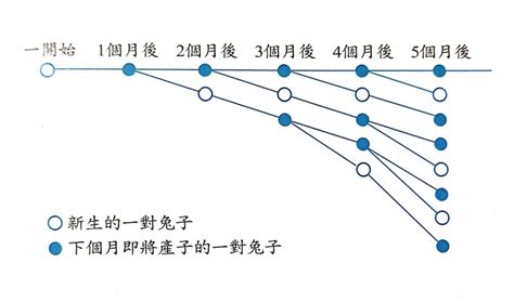 免子算術與斐波那契數列fibonacci Sequence 智匯雲端數位教育行 Gims 數學數位學習教室