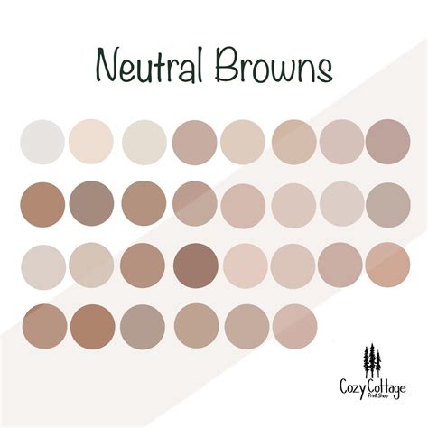 Neutral Brown Procreate Palette Brown Swatches Neutral Swatches