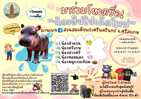 ขุนหาญ บ้านเรา 📌📍 เปิดแล้ว โหวตชื่อน้องฮิปโป