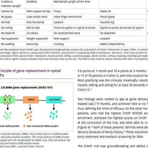The Hammersmith Infant Neurological Examination Scoring System Section