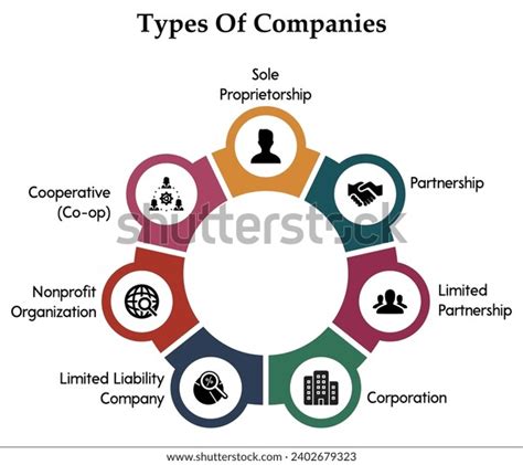 Types Companies Sole Proprietorship Partnership Limited Stock Vector