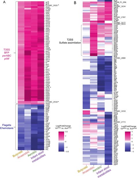 Uncovering Phenotypic Inheritance From Single Cells With Microcolony Seq Cell