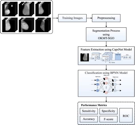 基于深度学习的胶囊神经网络模型用于使用乳房 X 线图像诊断乳腺癌interdisciplinary Sciences