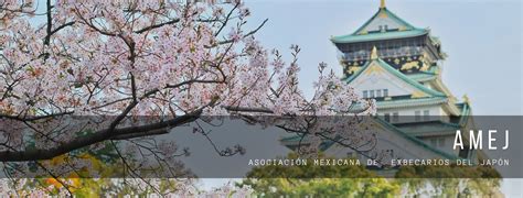 AsociaciÓn De Scouts De MÉxico Ac Efeméridesscout 15 De Mayo Día