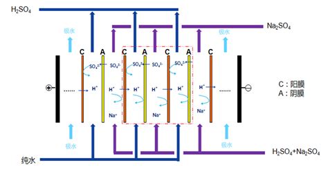 Hydrogen Ion Selective Permeable Membrane