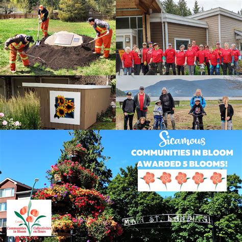Sicamous Communities In Bloom Awarded Five Blooms News District Of Sicamous Sicamous Communities In Bloom Awarded Five Blooms News District Of Sicamous