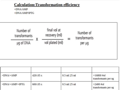 Transformation Efficiency