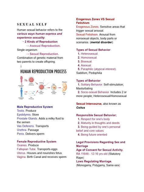 Uts Sexual Material And Spiritual Self Pdf Human Sexuality