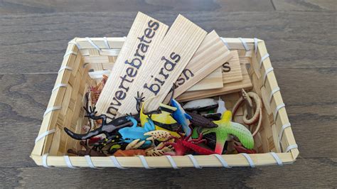 Animal Classification Sorting Set Montessori Object Classification G