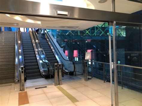 구리꽃집 구리역롯데백화점안에 있는 꽃집 플라워가든송령 🌸 네이버 블로그