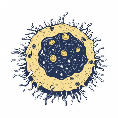 Blood Cell Erythrocyte Leukocyte Hemocyte Clot Icon Download On