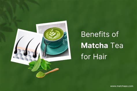 7 Benefits Of Matcha Tea For Hair — Matchaao