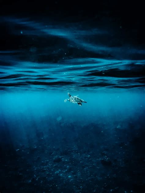 Elasticsearch Fleet Server And Elastic Agents Installation — For Centralized Management And