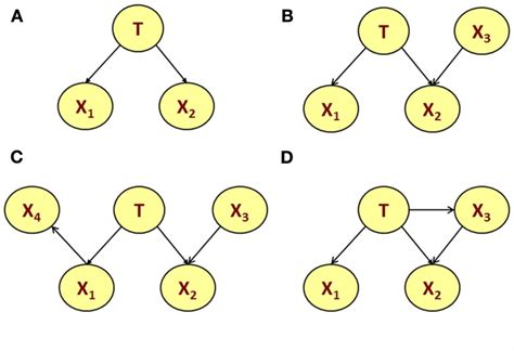 Examples Of Directed Acyclic Graph Dag All Nodes Are Random
