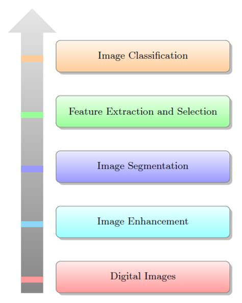 An Efficient Segmentation And Classification System In Medical Images Using Intuitionist