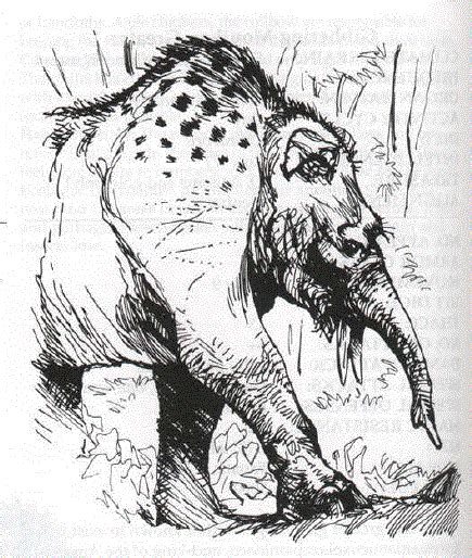 Onco Adandd Complete Compendium