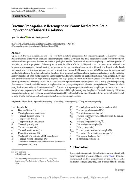 Fracture Propagation In Heterogeneous Porous Media Pore Scale Implications Of Mineral