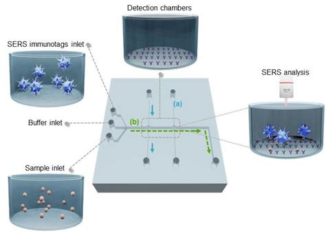 Flow Through Microfluidic Device Integrated With To Rch For The Download Scientific Diagram