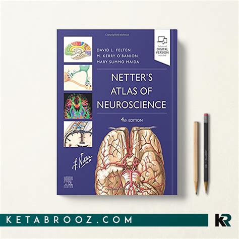 کتاب Netters Atlas Of Neuroscience اثر David L Felten زبان اصلی