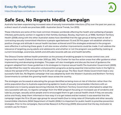 Safe Sex No Regrets Media Campaign Essay Example StudyHippo Com