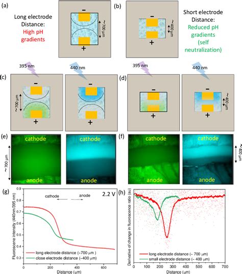 Figure 5 From Universal Approach To Direct Spatiotemporal Dynamic In