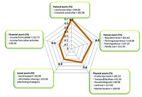 Livelihood Assets Spider Pentagon Represents The Average Assets Score Download Scientific