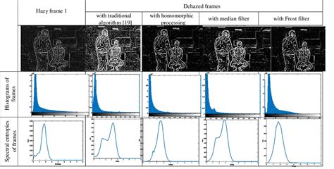 Results Of The Nir Video Frame 1 With The Traditional Algorithm 19