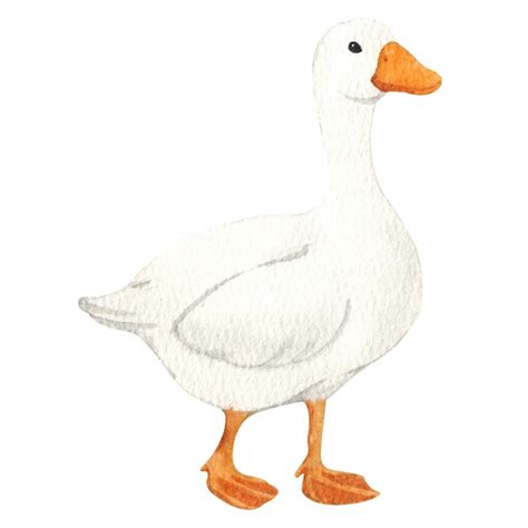 Premium Vector Country House Cottage Single Element Vector