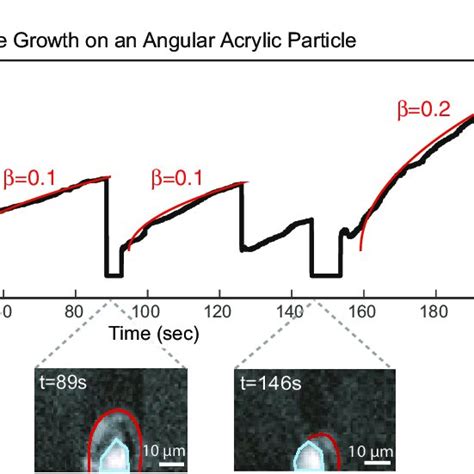 Experimental Setup For Bubble Nucleation And Growth Experiments The