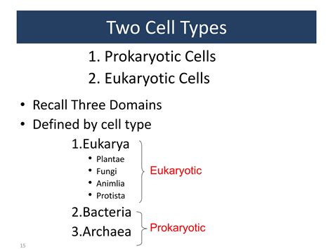 Lect Structure And Function Of Eukaryotes And Prokaryotes Cell Pptx