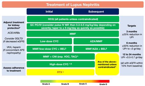 2023 Eular Recommendations For The Management Of Systemic Lupus